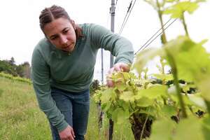 Esther Mobley, Senior Wine Critic - San Francisco Chronicle