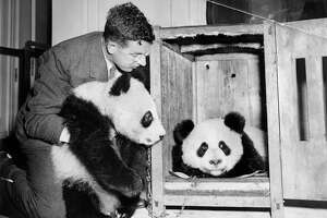 Peter Hartlaub, Culture Critic - San Francisco Chronicle