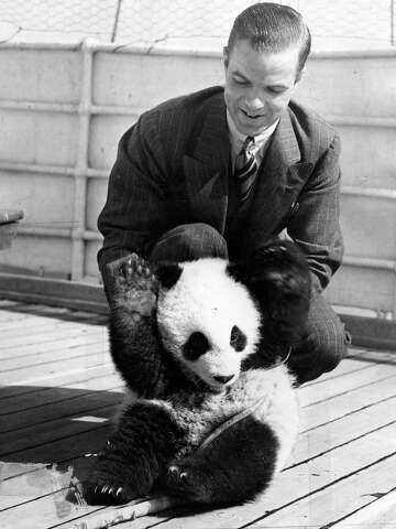 The first U.S. pandas stopped in San Francisco — and slept in a hotel