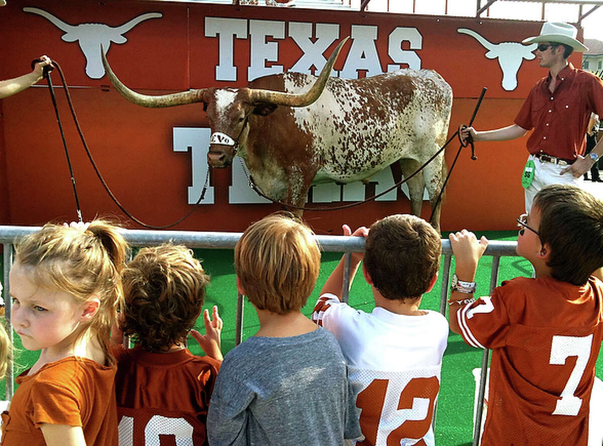 Longhorns new Bevo XV will debut at Texas-Notre Dame game
