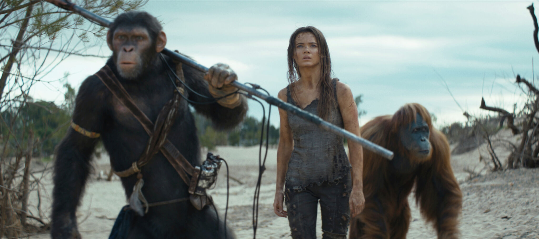'Kingdom of the Planet of the Apes' leads list of week's new films