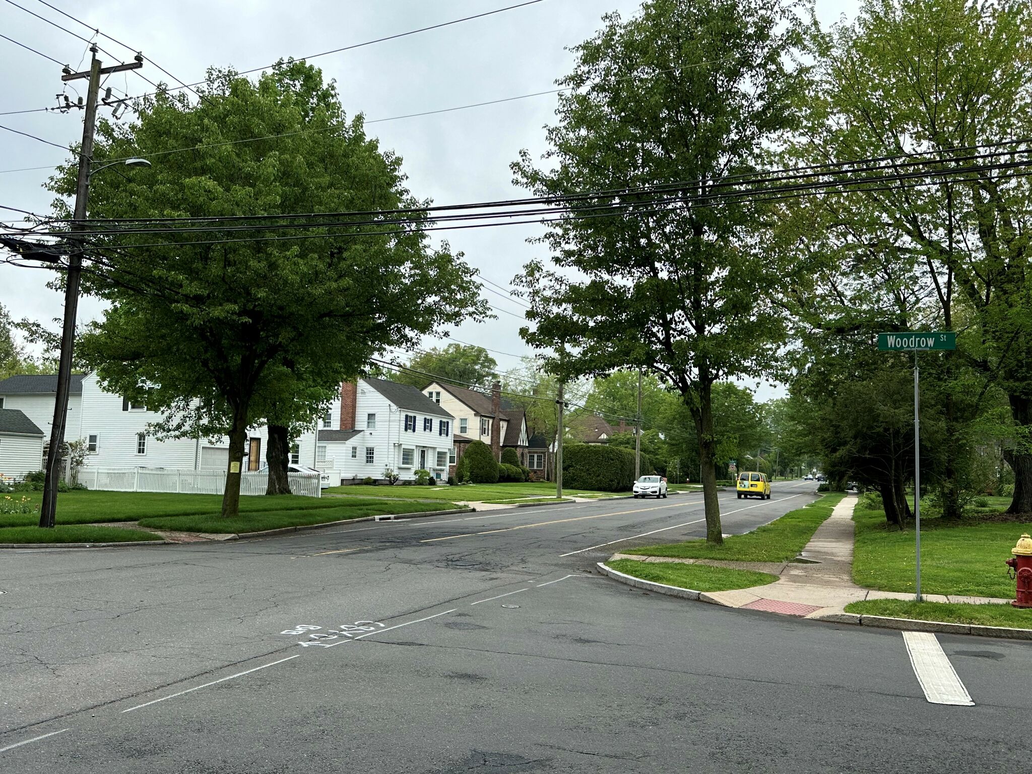 Eversource Wants To Remove 30 Trees From A West Hartford Street