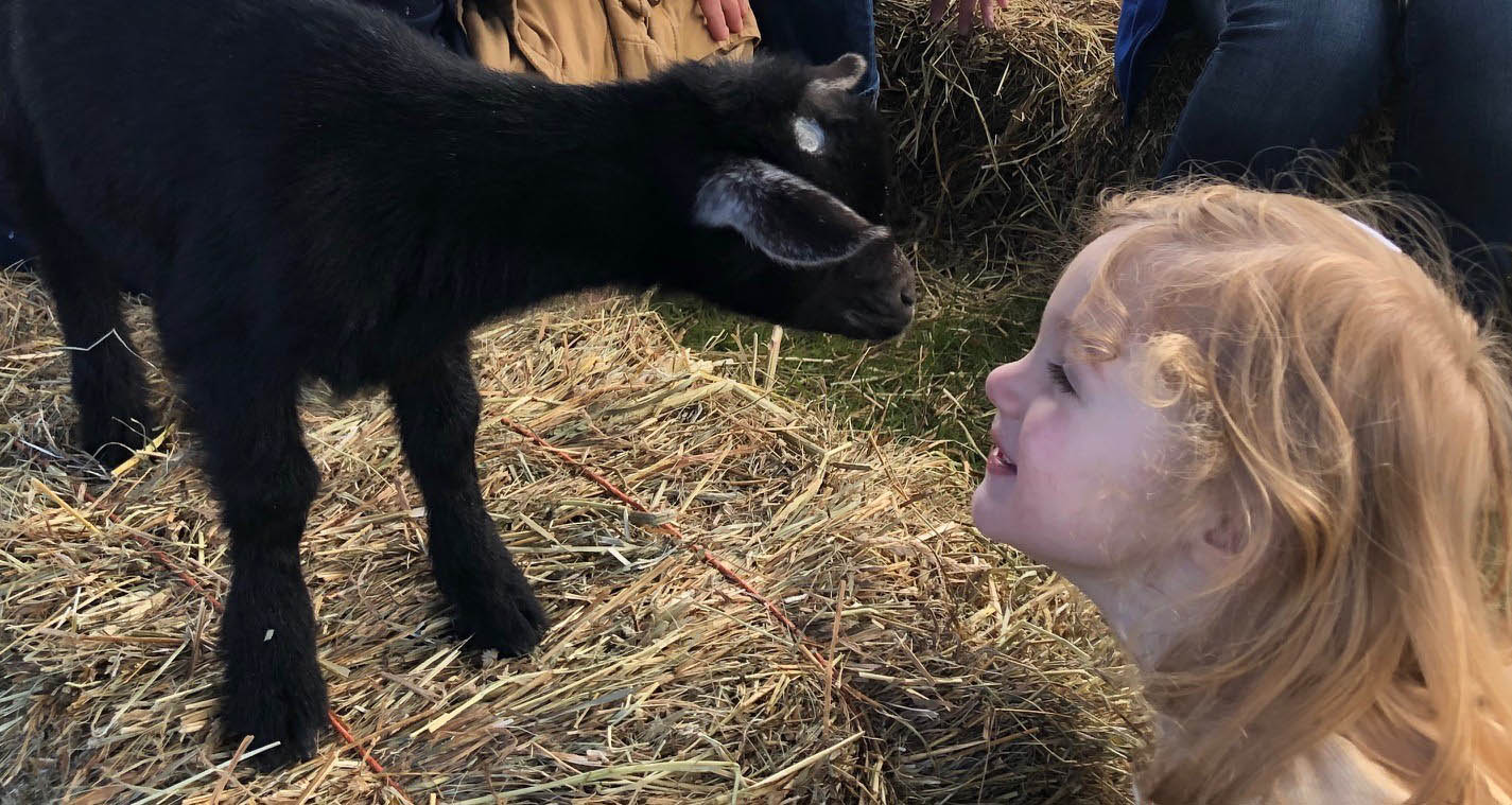 New Milford's annual GOAT Day promises farm animals, food and more