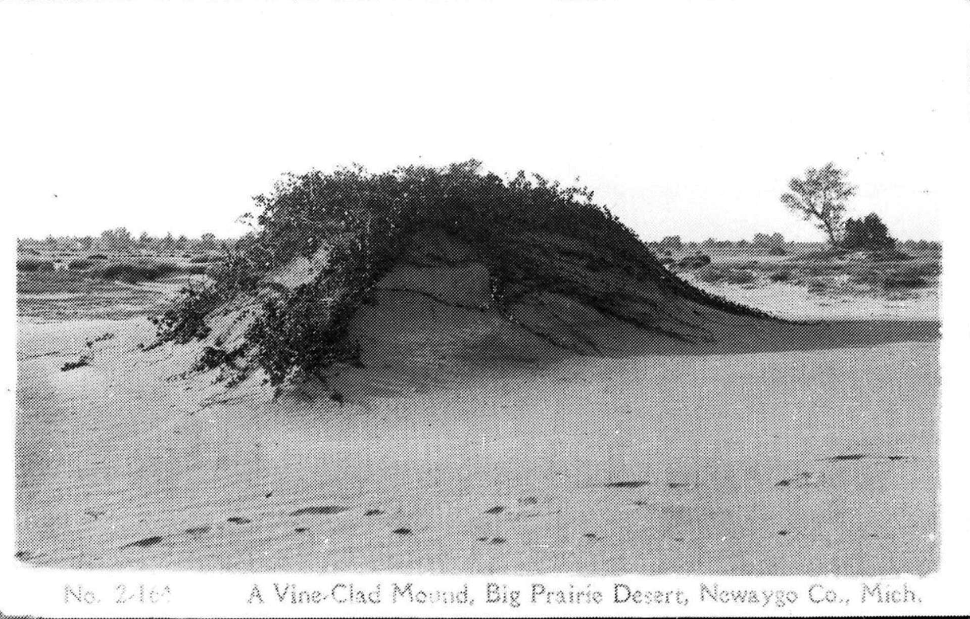 MICHIGAN GHOST TOWN: How the Big Prairie Desert regrew itself