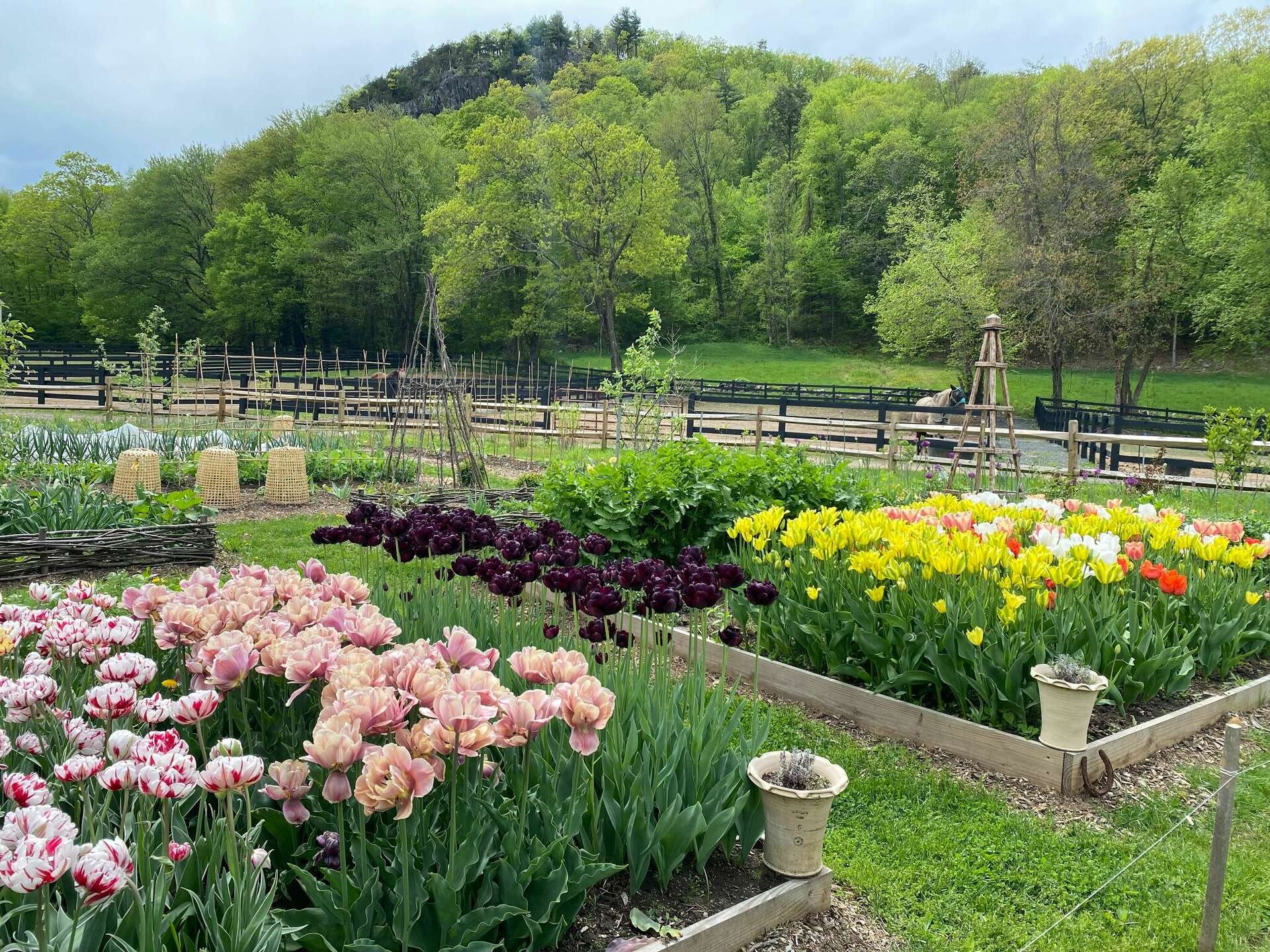 Julien's Farm Store in Granby offers fresh donuts, sandwiches