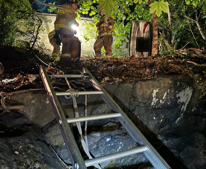 Norwich firefighters rescue man whose car landed in trees on hillside