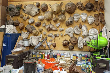 Deep in the lab with California's last museum taxidermy specialist