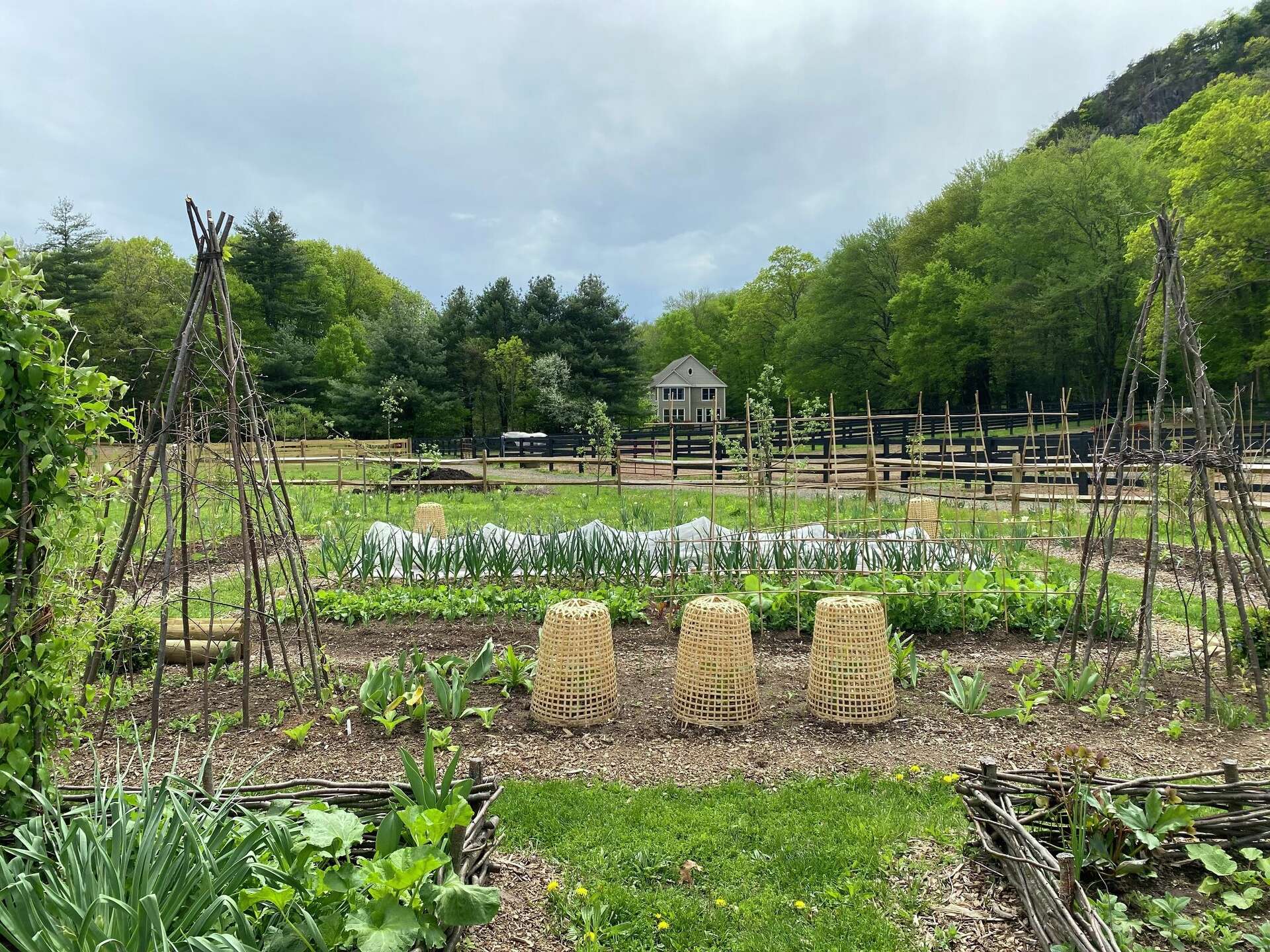 Julien's Farm Store in Granby offers fresh donuts, sandwiches