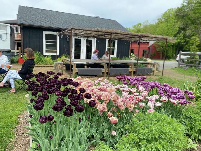 Julien's Farm Store in Granby offers fresh donuts, sandwiches