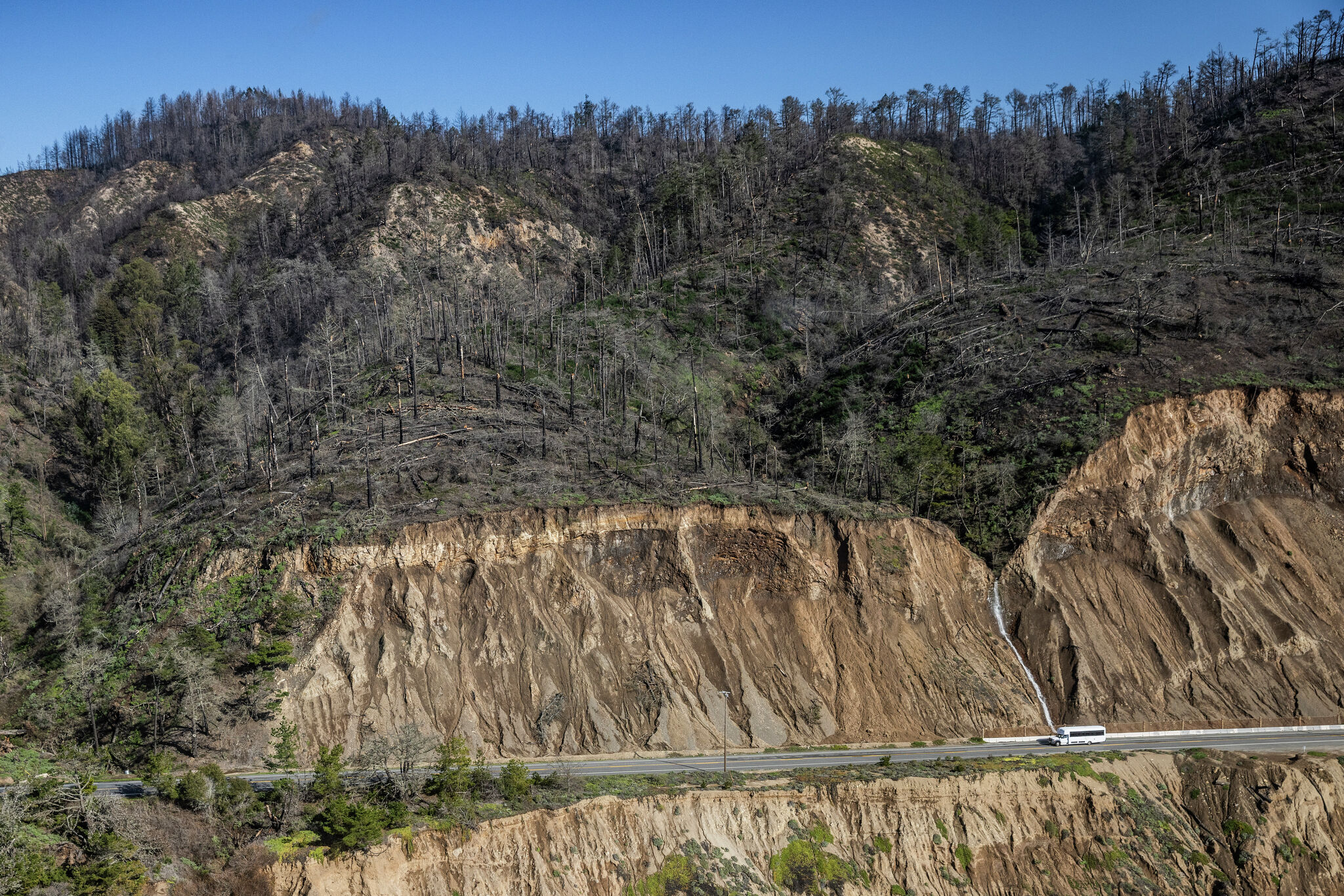 California loses vast amount of forest after wildfires, drought: study