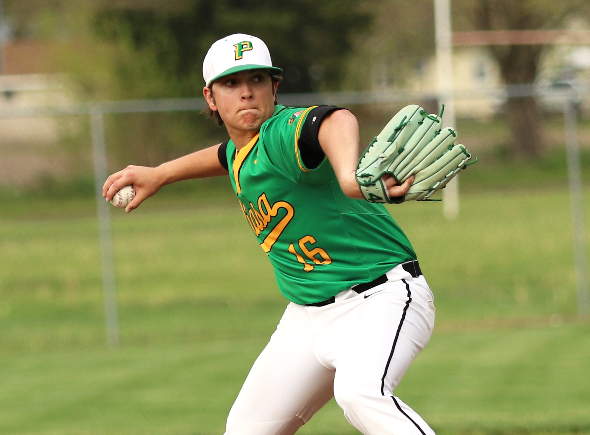FRIDAY BASEBALL: Piasa Birds match school wins record at 26
