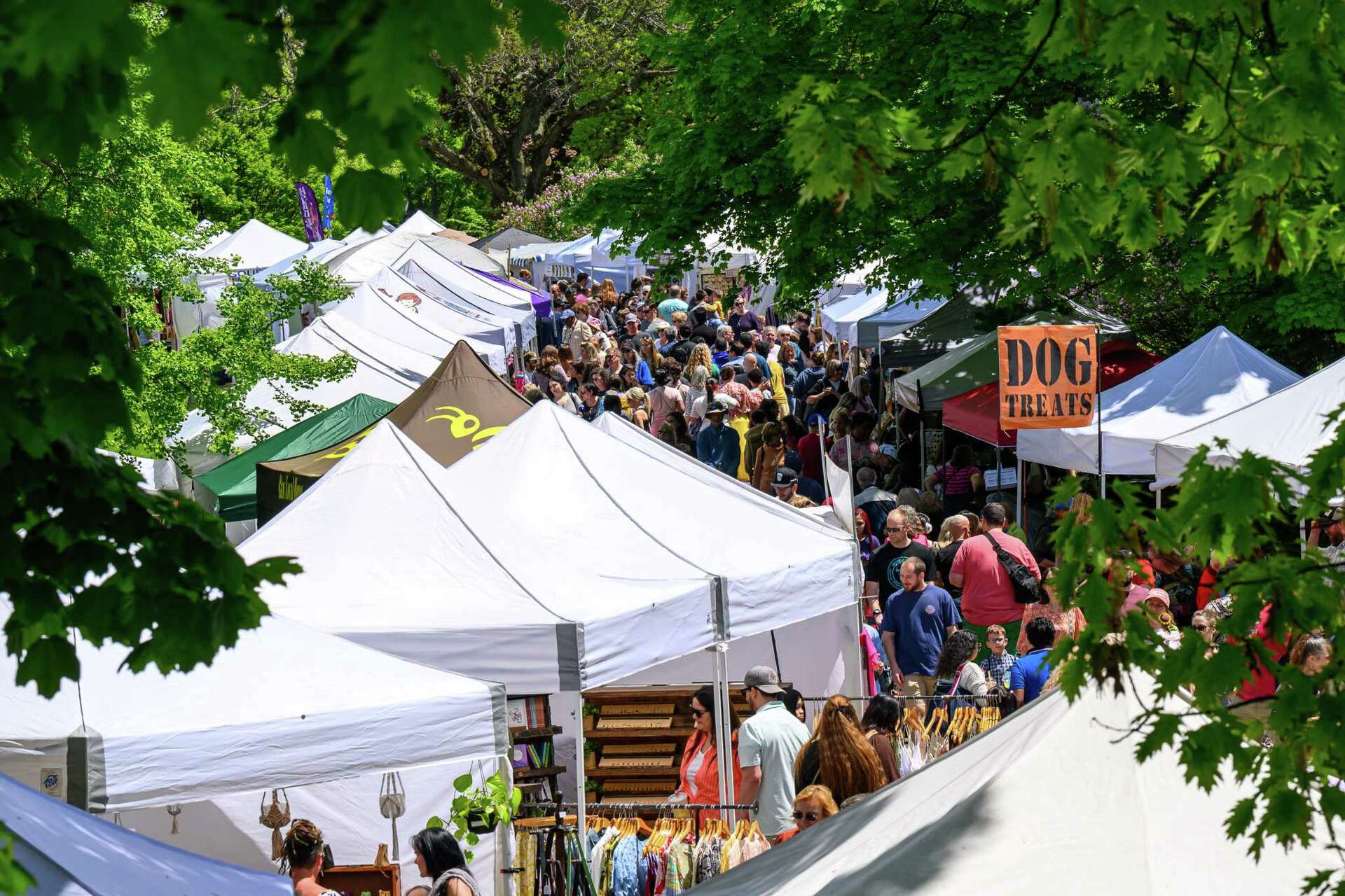 2025 Albany Tulip Festival lineup announced