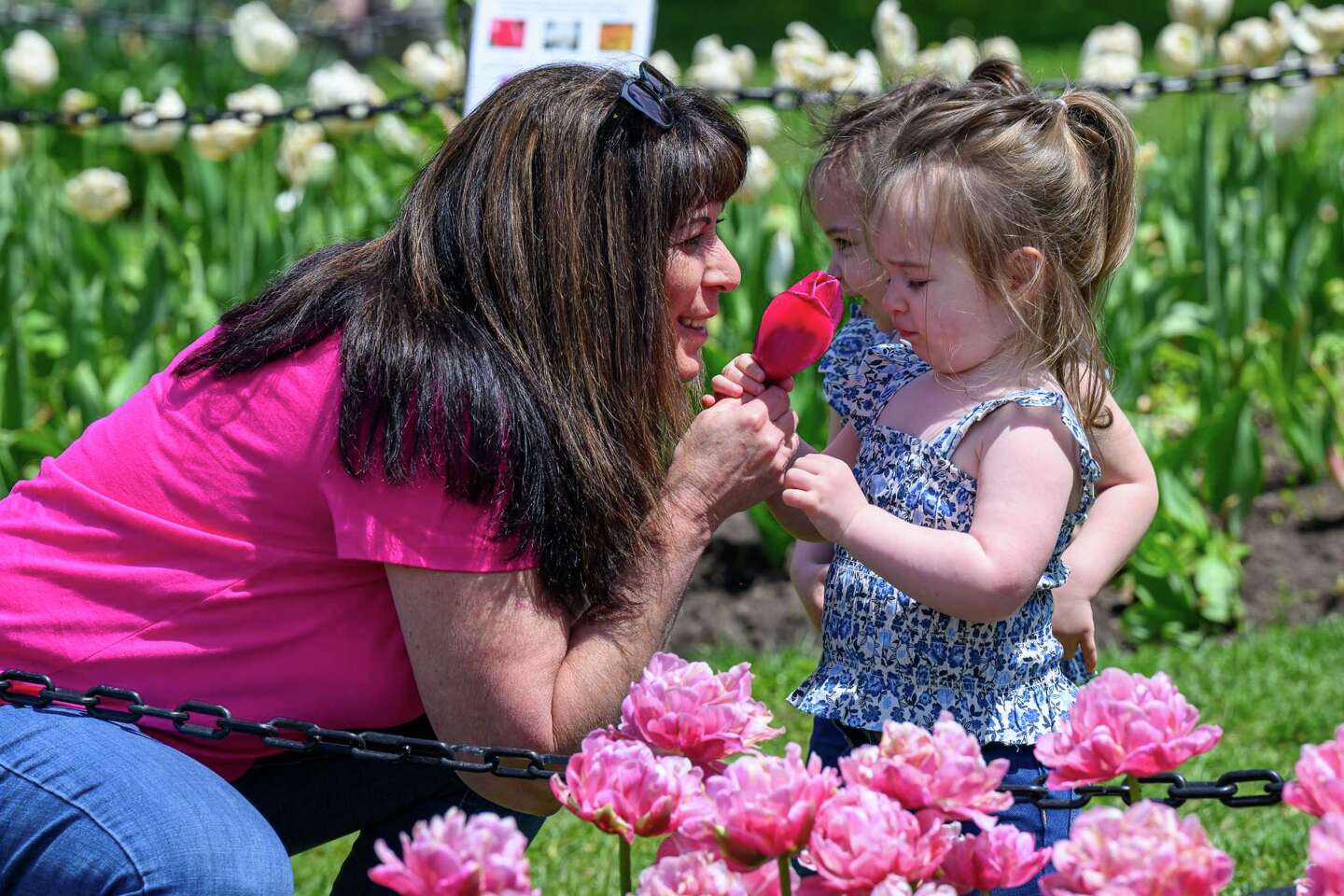 2025 Albany Tulip Festival lineup announced