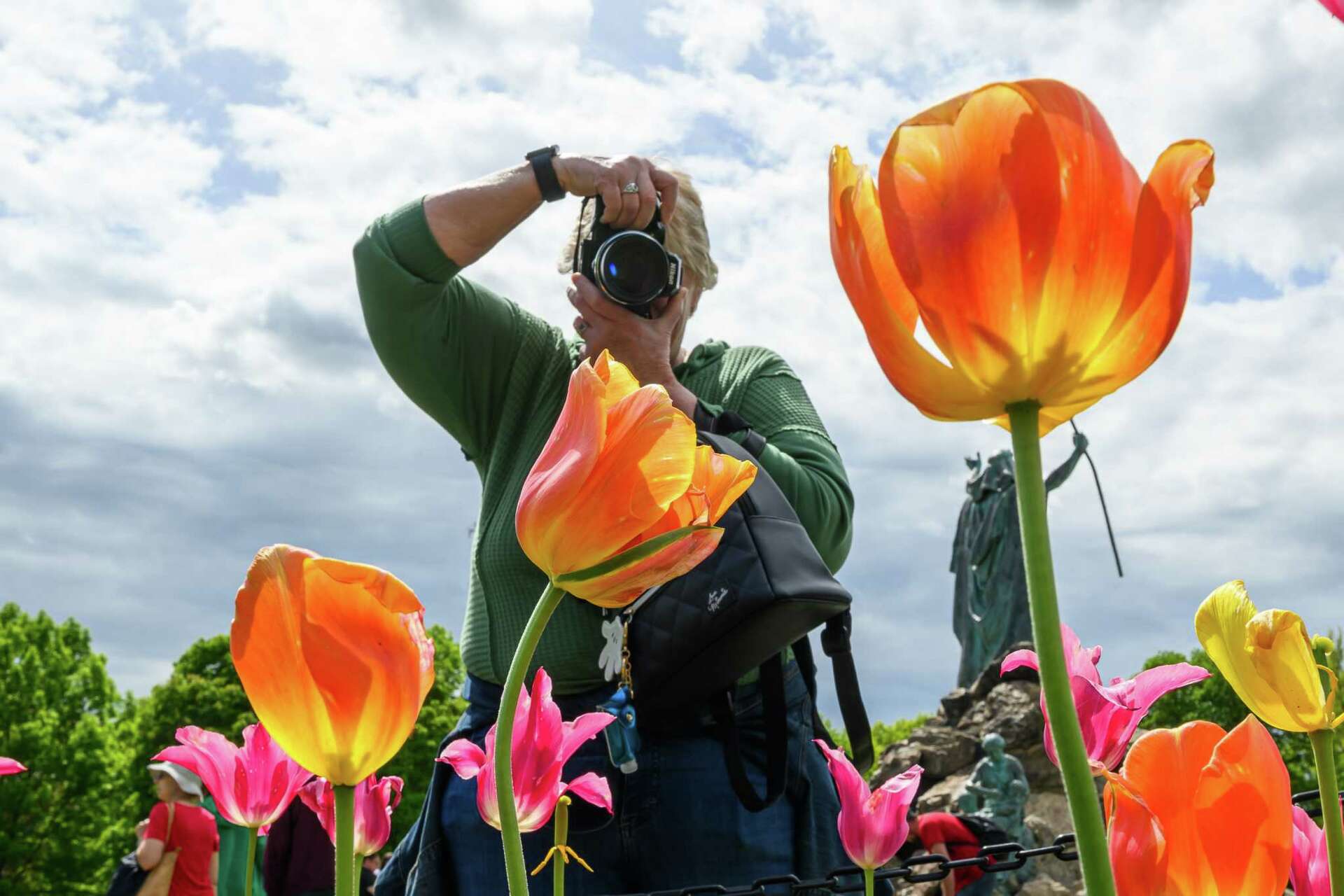 2025 Albany Tulip Festival lineup announced