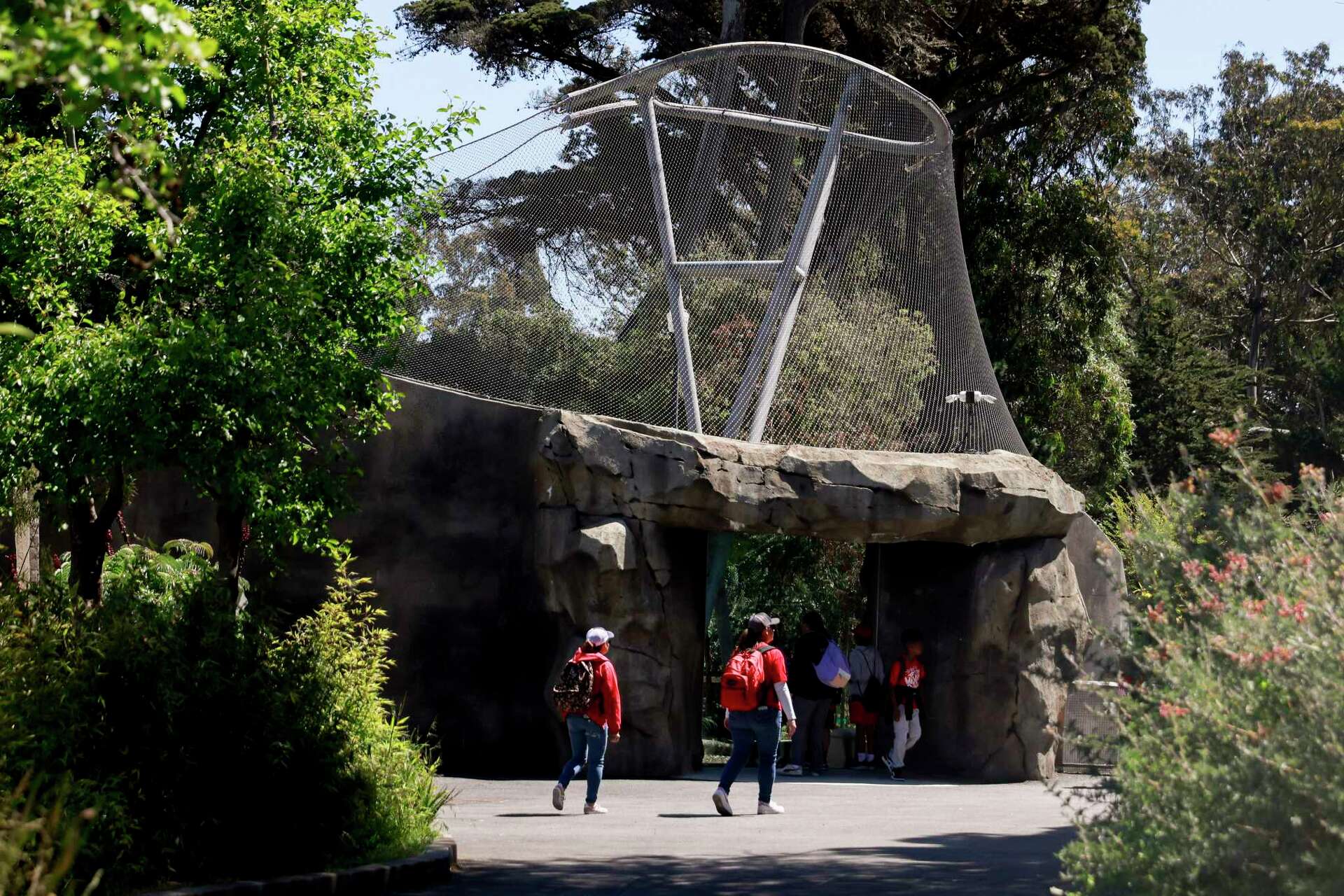 Pandas at SF Zoo? Some urge fixing ‘dilapidated’ conditions first