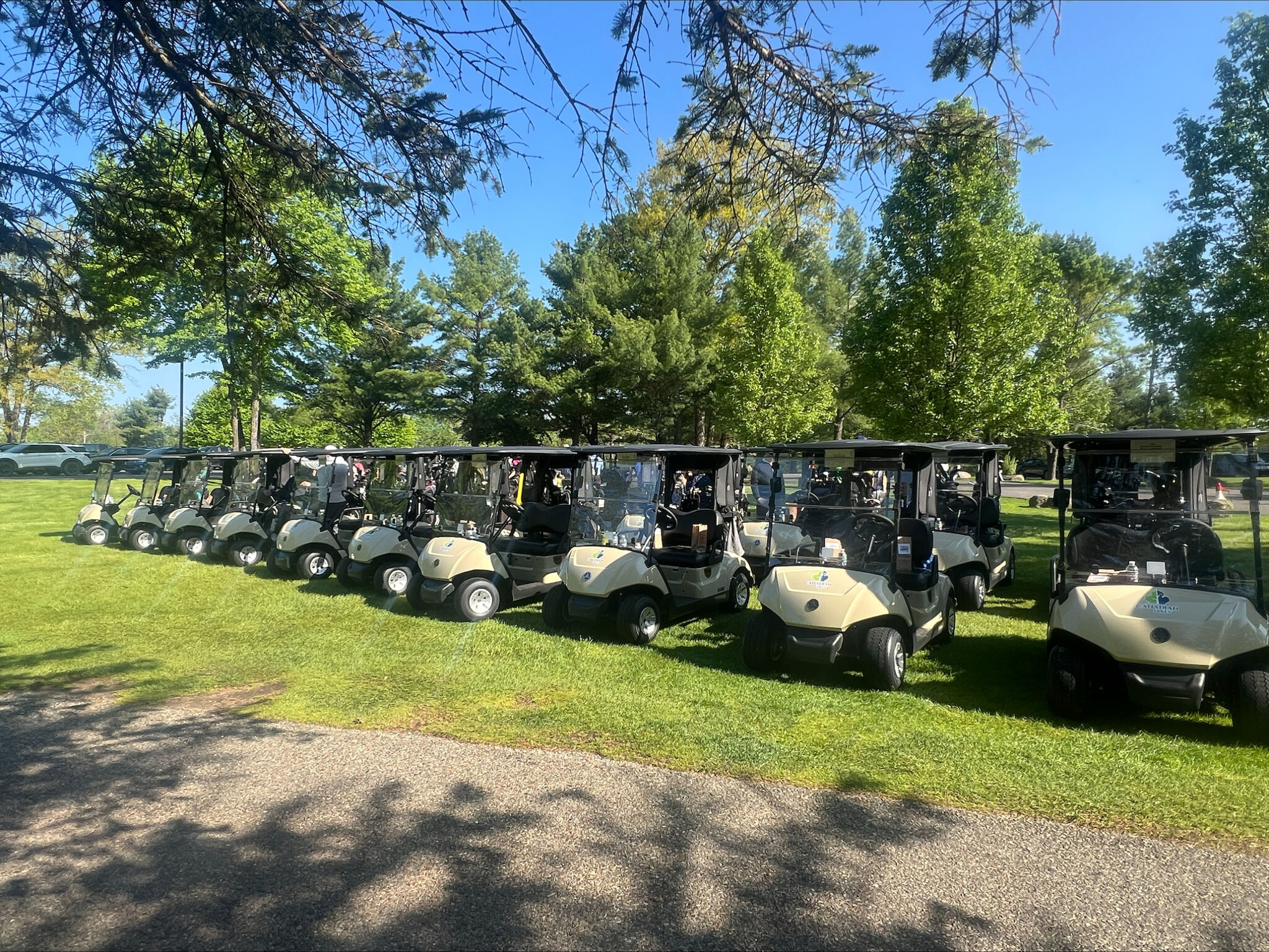 Pioneer Chamber Golf Outing held in Mecosta County