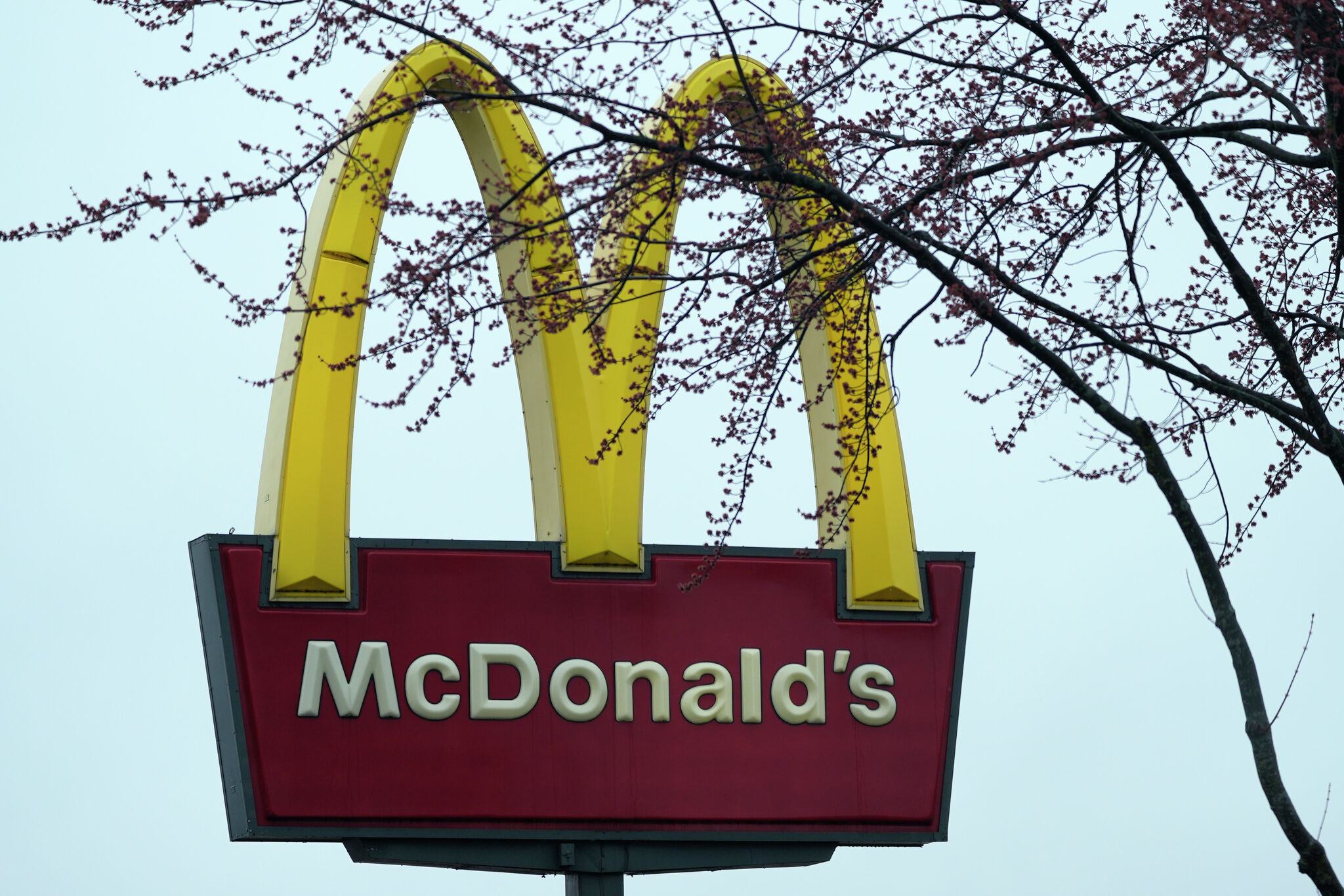 Connecticut-based McDonald's franchisee sues fast food giant
