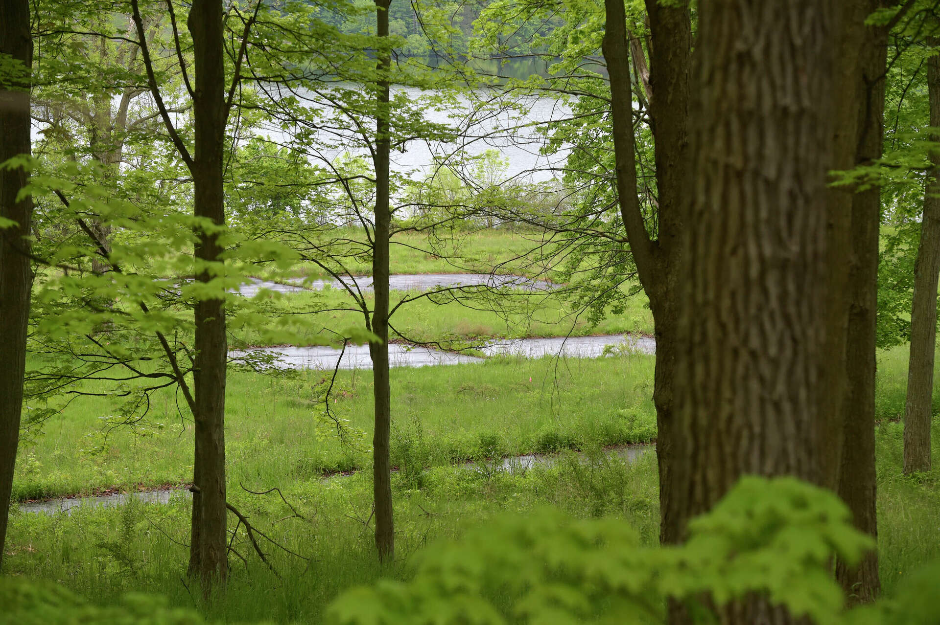 Hartford-area Batterson Park expected to reopen next summer