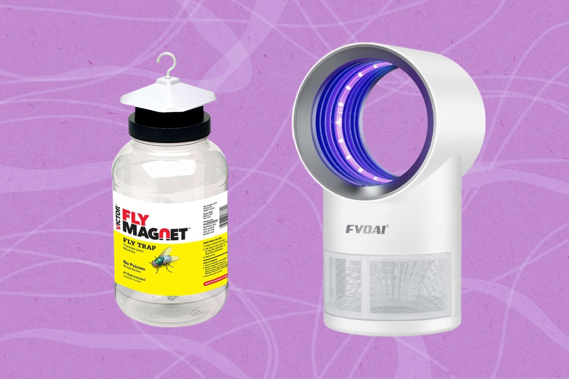 The 6 best fly traps of 2024 to keep your home free of pests