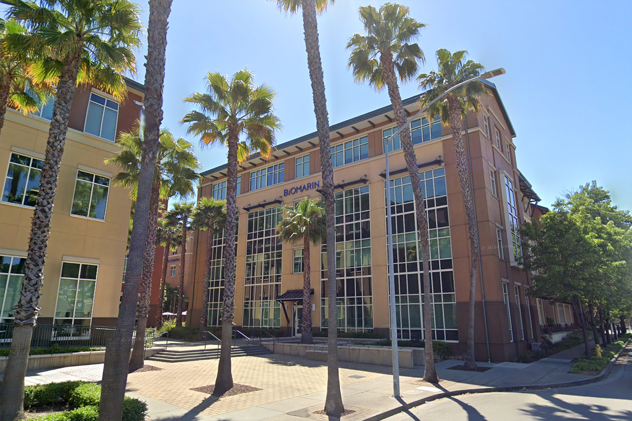 BioMarin continues wave of California biotech layoffs with 128 cuts