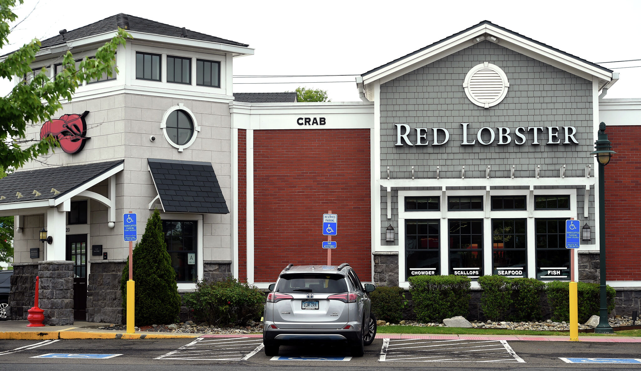 Blaming 'endless shrimp' promotion and costs, Red Lobster bankrupt