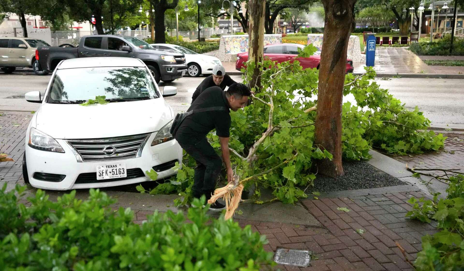 Houston storms: What to do if you have a downed tree