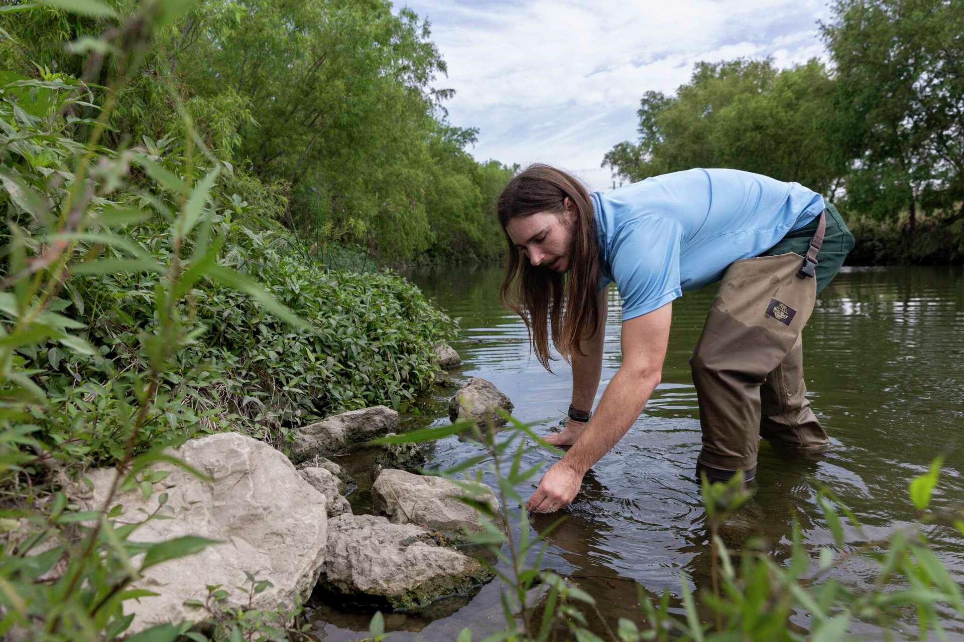 After long absence, mussels return to upper San Antonio River
