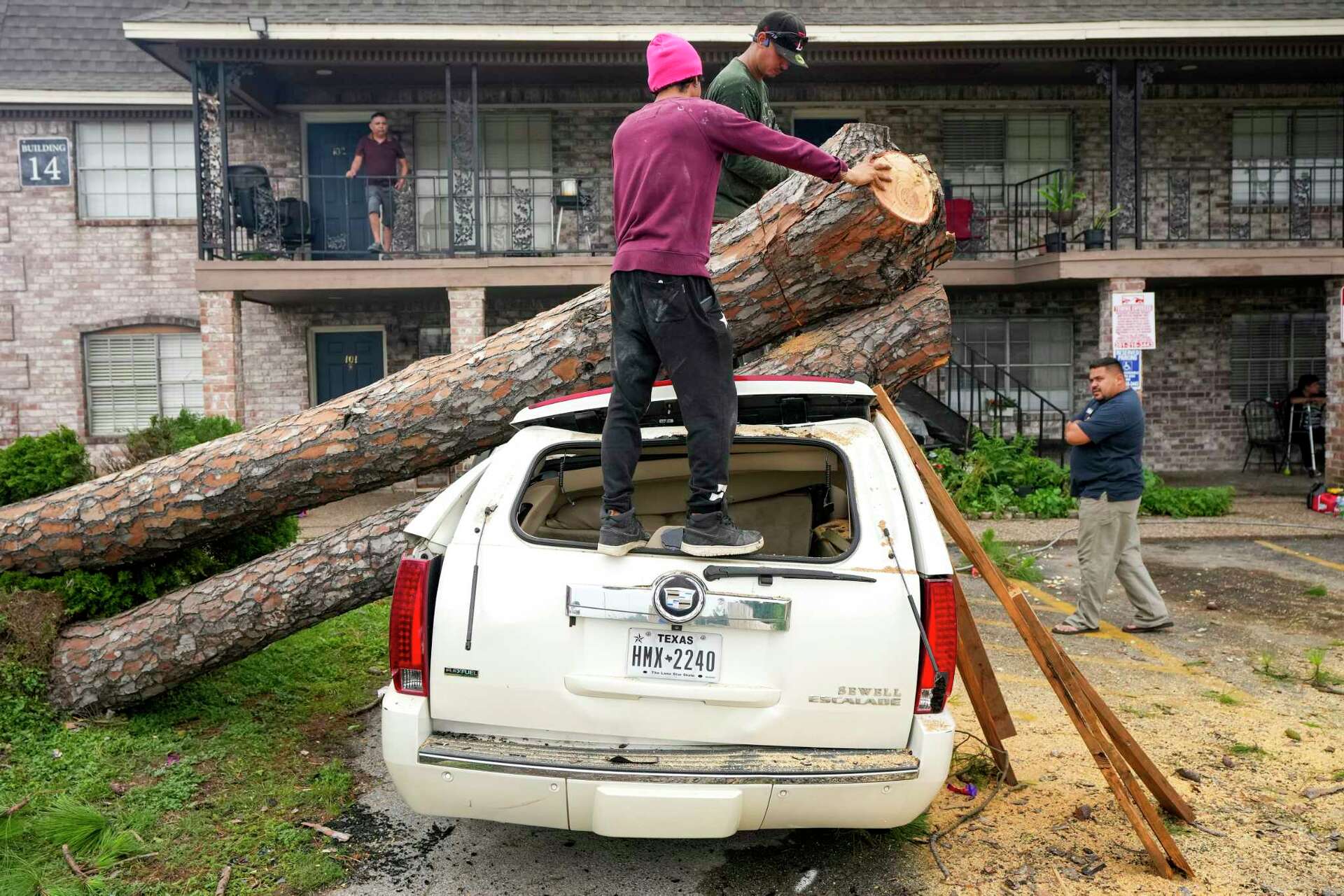 Houston tree loss from 'derecho' storm dramatic after droughts