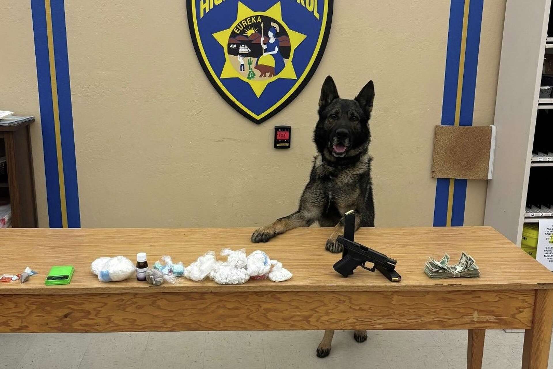 CHP dog detects massive fentanyl stash during S.F. traffic stop