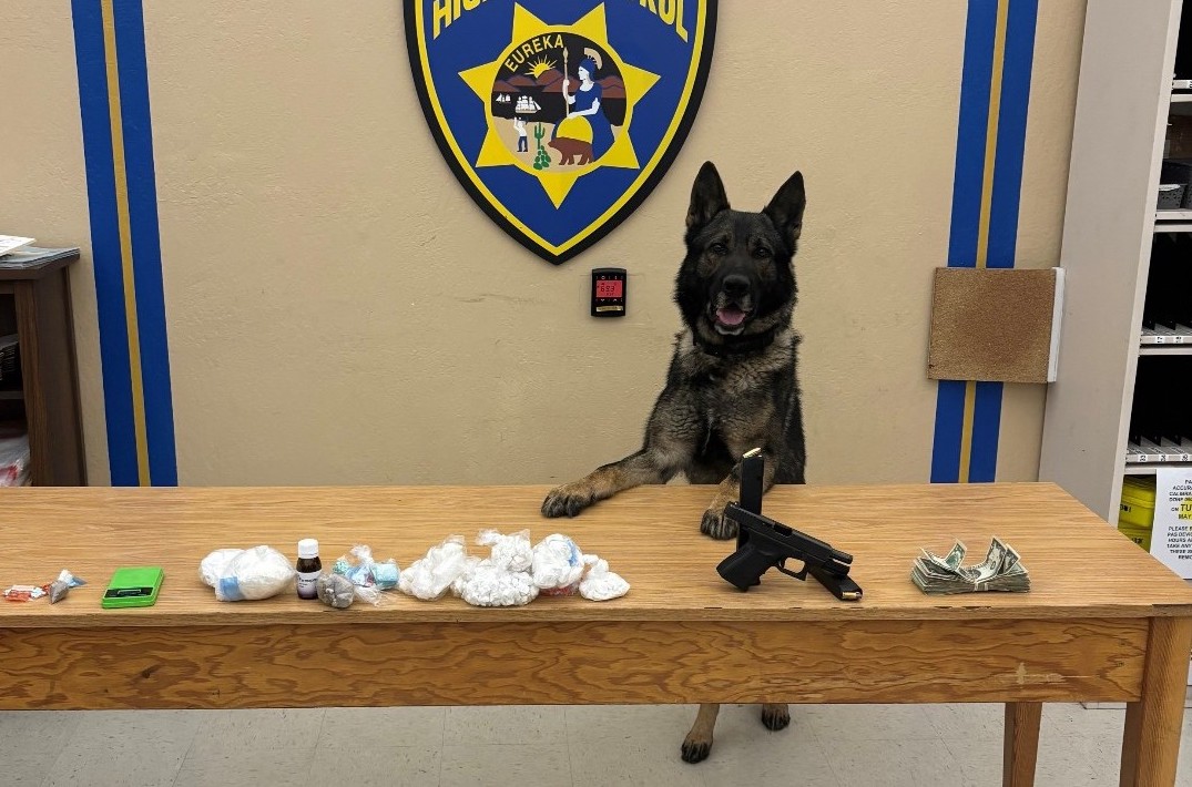 CHP dog detects massive fentanyl stash during S.F. traffic stop