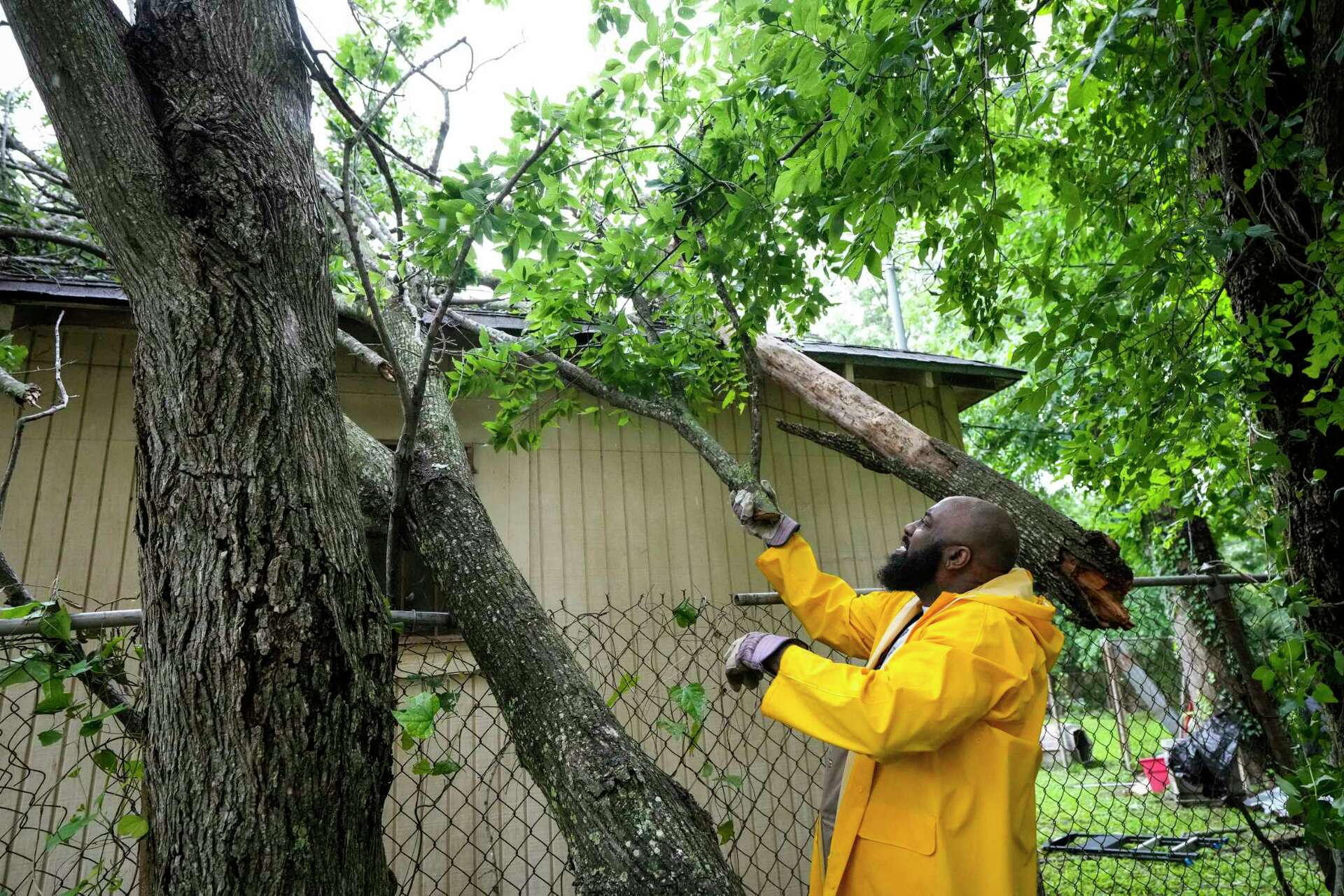 Houston tree loss from 'derecho' storm dramatic after droughts