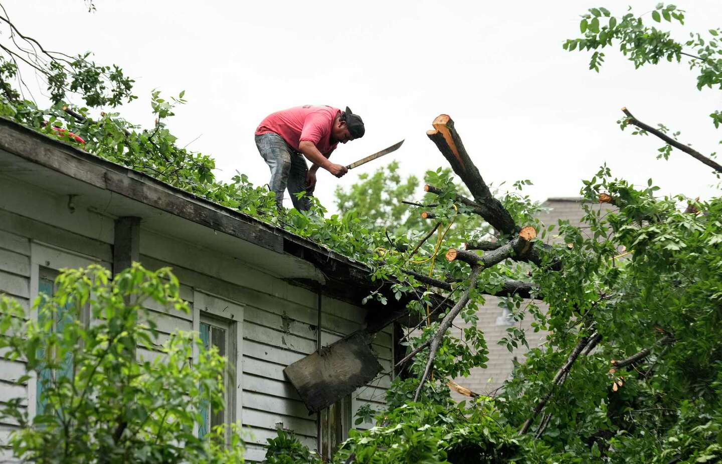 Houston tree loss from 'derecho' storm dramatic after droughts