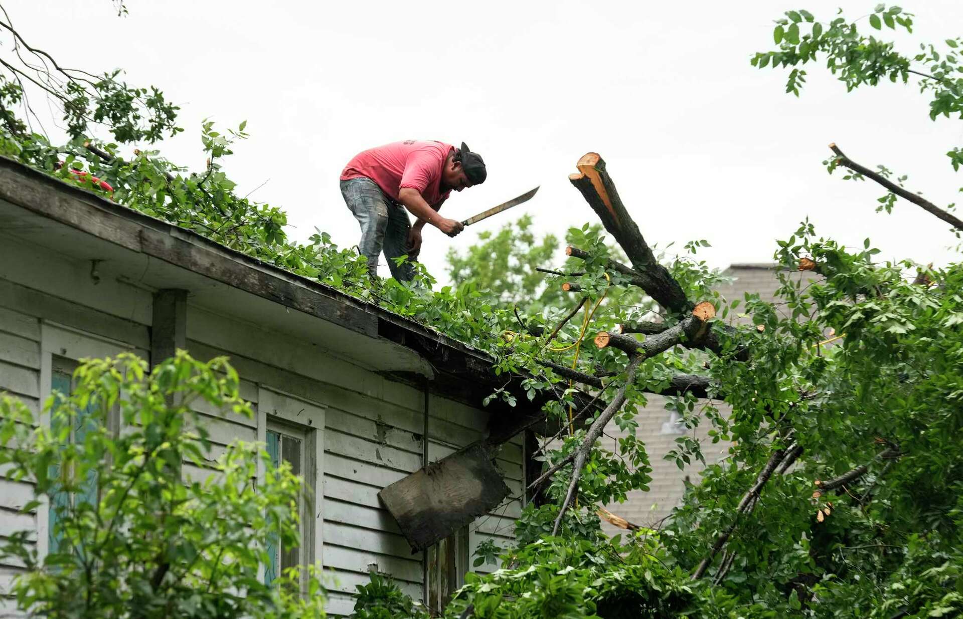 Houston tree loss from 'derecho' storm dramatic after droughts