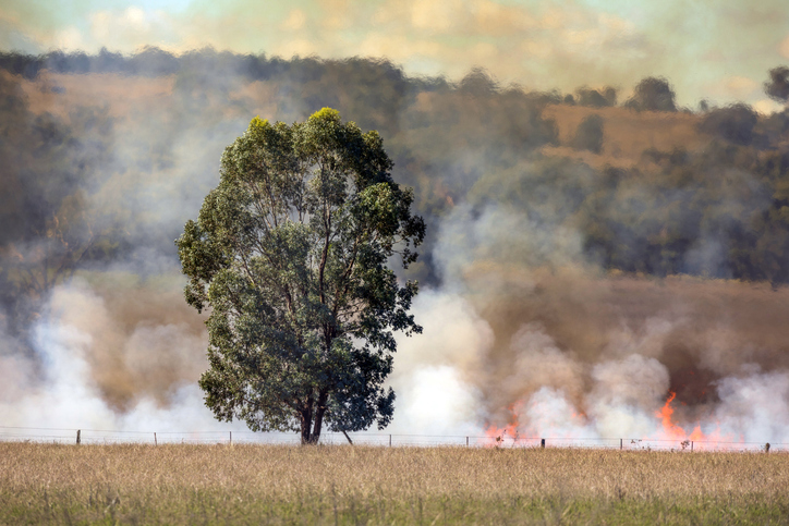 Ensure prescribed burns are mapped, Illinois officials say