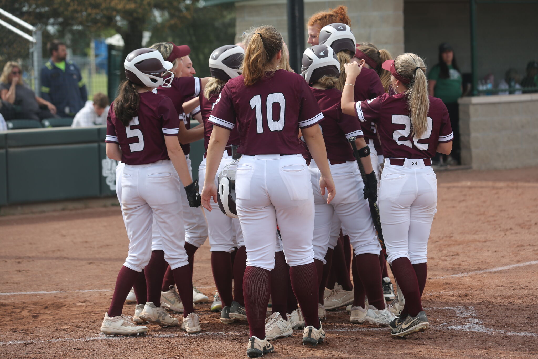 Two grand slams power Cass City softball to sweep over Laker