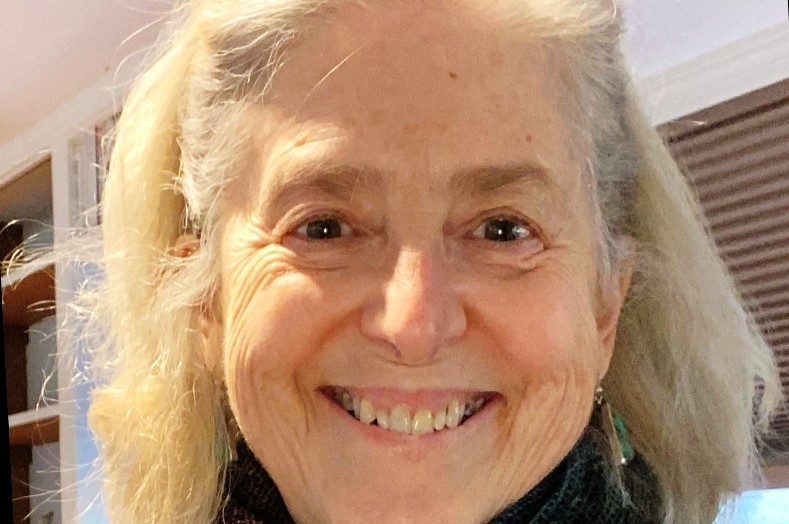 Sherman Democrats endorse Anne Weisberg for 108th House District race