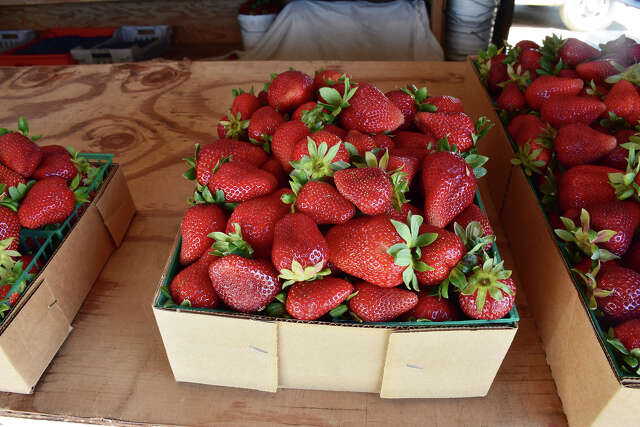 This humble fruit stand might have California’s best strawberries
