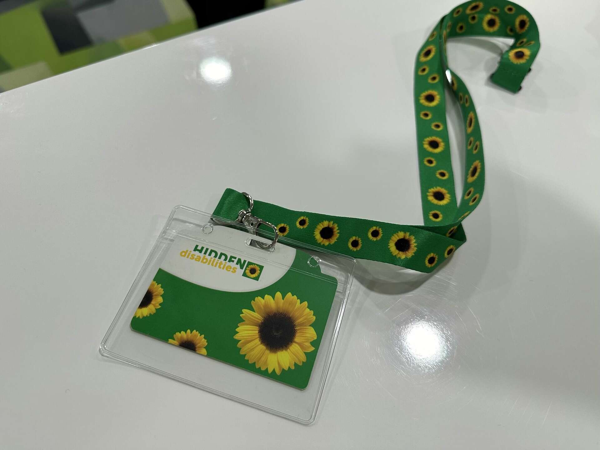 Albany airport's Sunflower program smooths way for disabled fliers