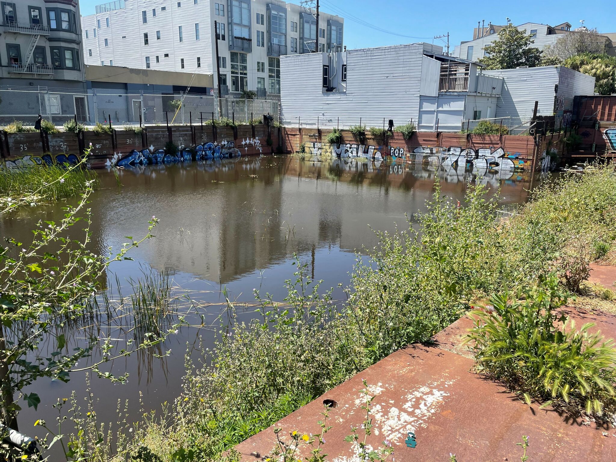 A trash lake has popped up in San Francisco. Officials can't tell why.