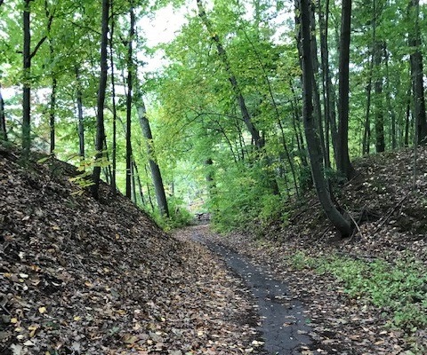 Hamden's Olin Powder Farm restarts testing, but more studies needed