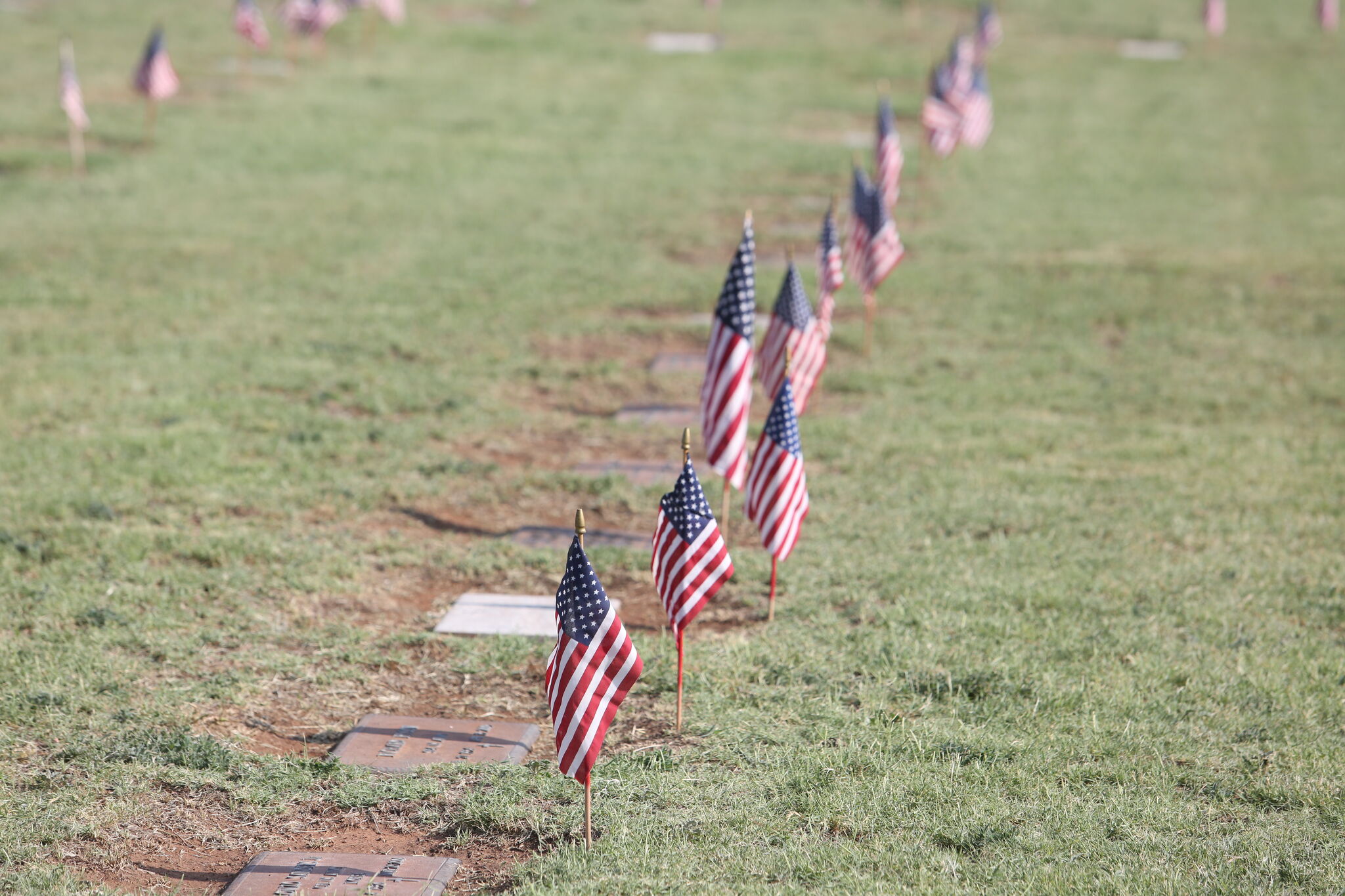 VFW Post 4149 places flags for Memorial Day