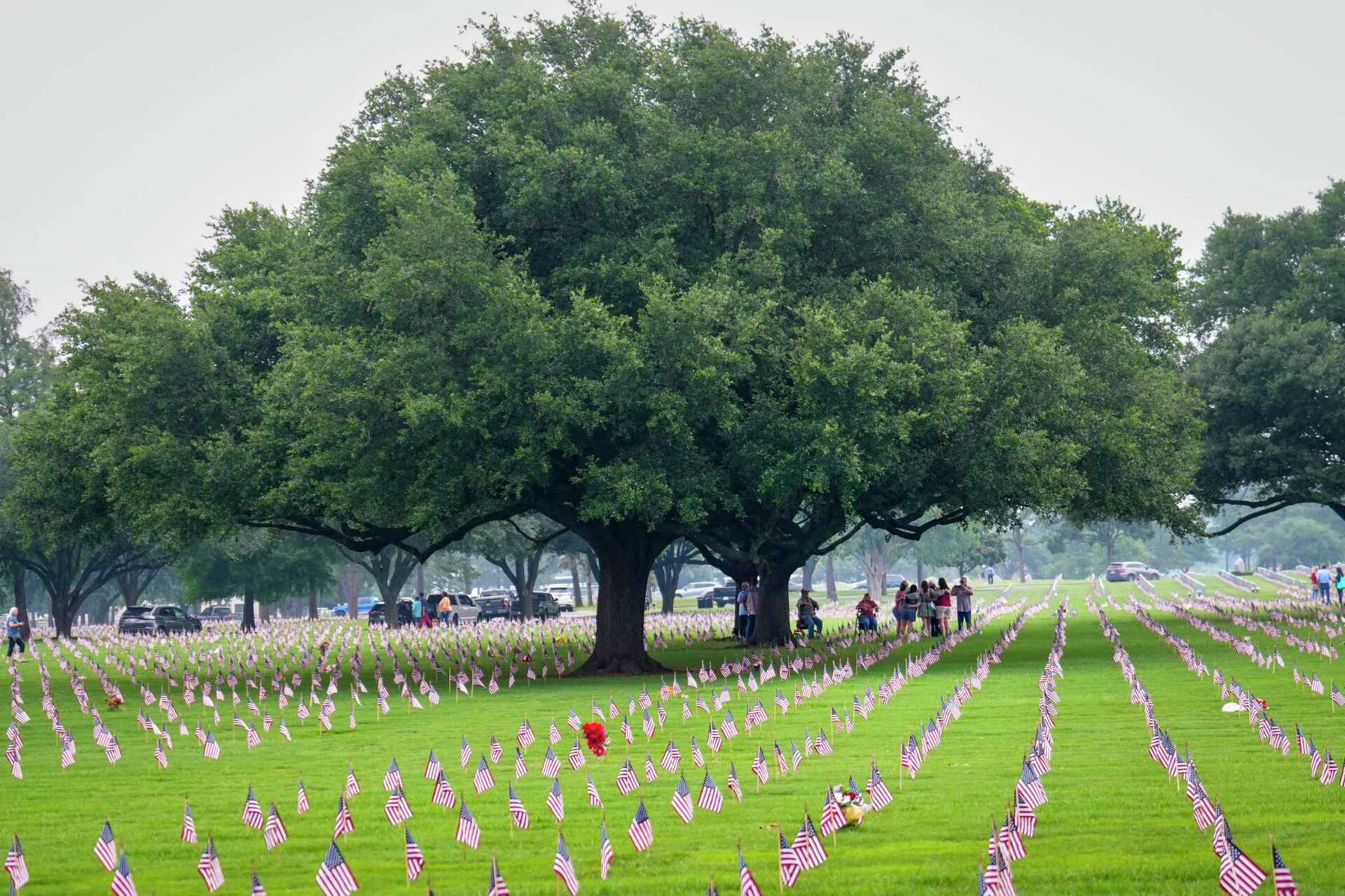 Vietnam War ceremony honors veterans at Houston National Cemetery