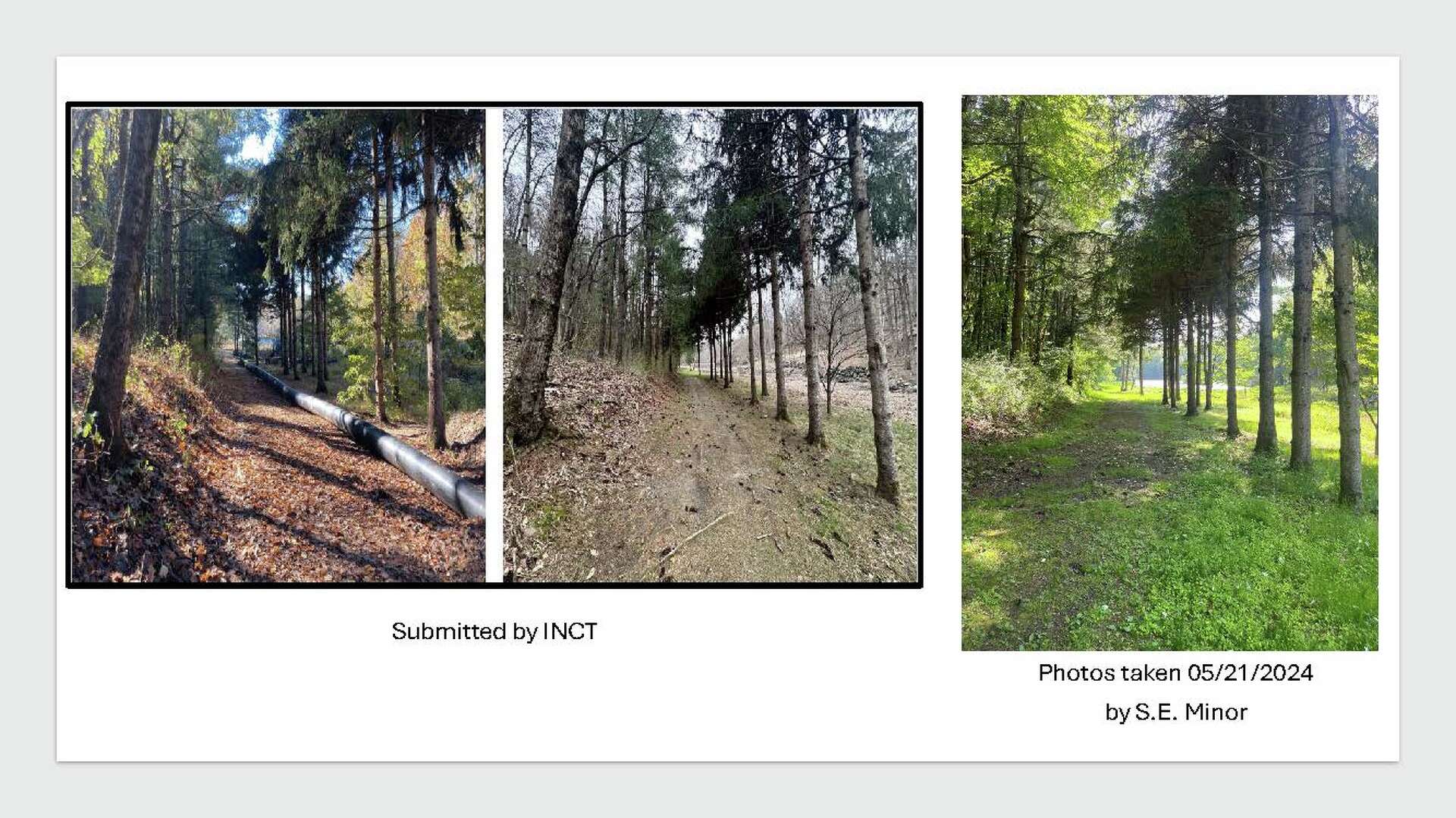 Photos highlight fight over CT trees on shared land by Lamont’s home