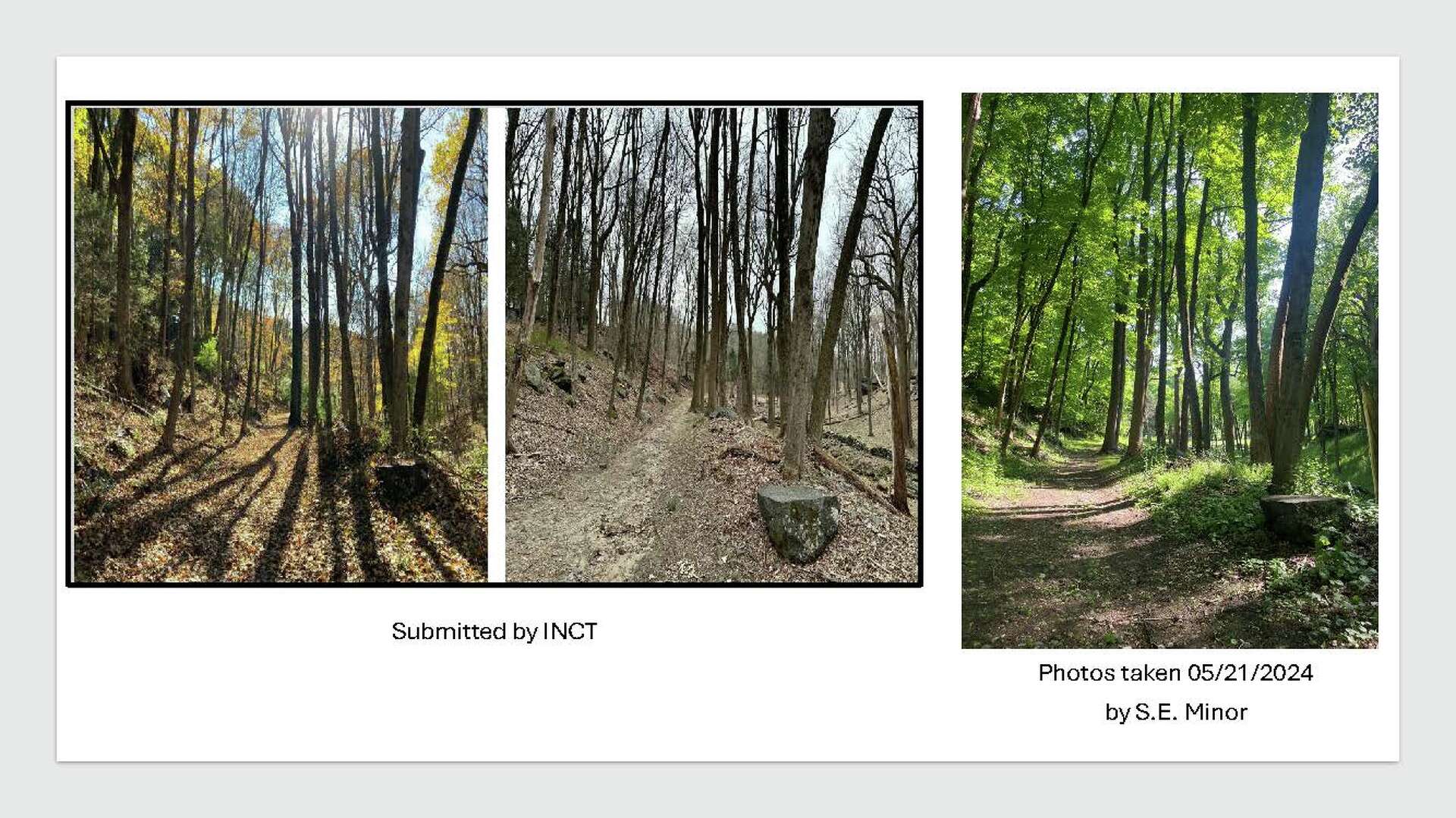 Photos highlight fight over CT trees on shared land by Lamont’s home