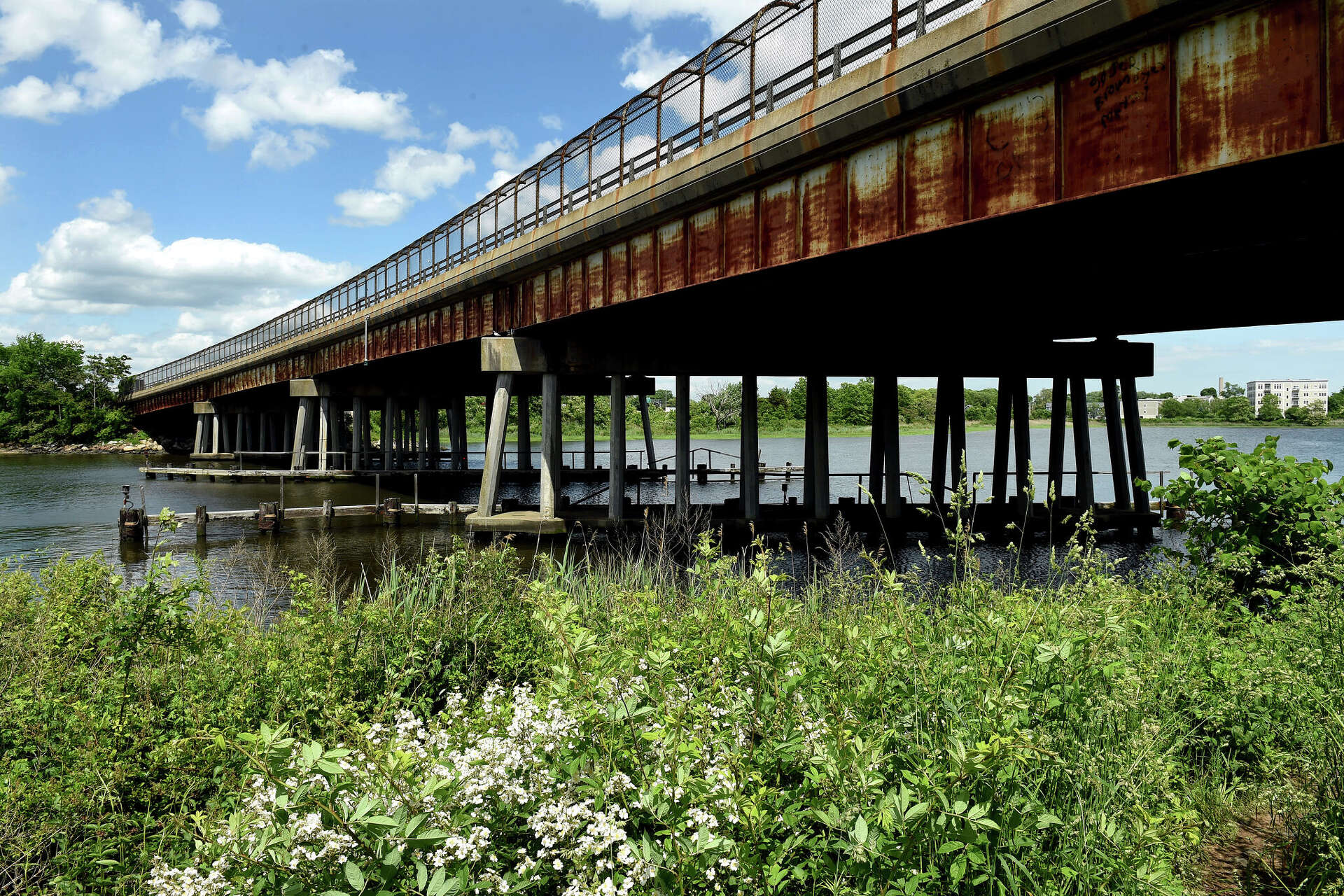 Woman rescued in New Haven from frigid West River water, official says