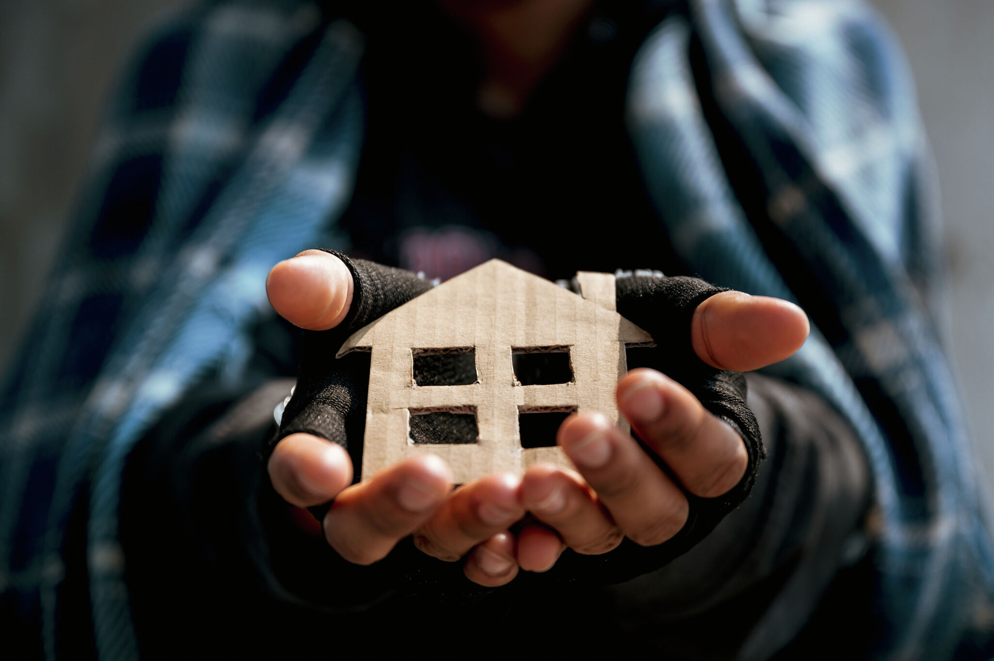 Repertoire: Easy olive oil cake topped two ways