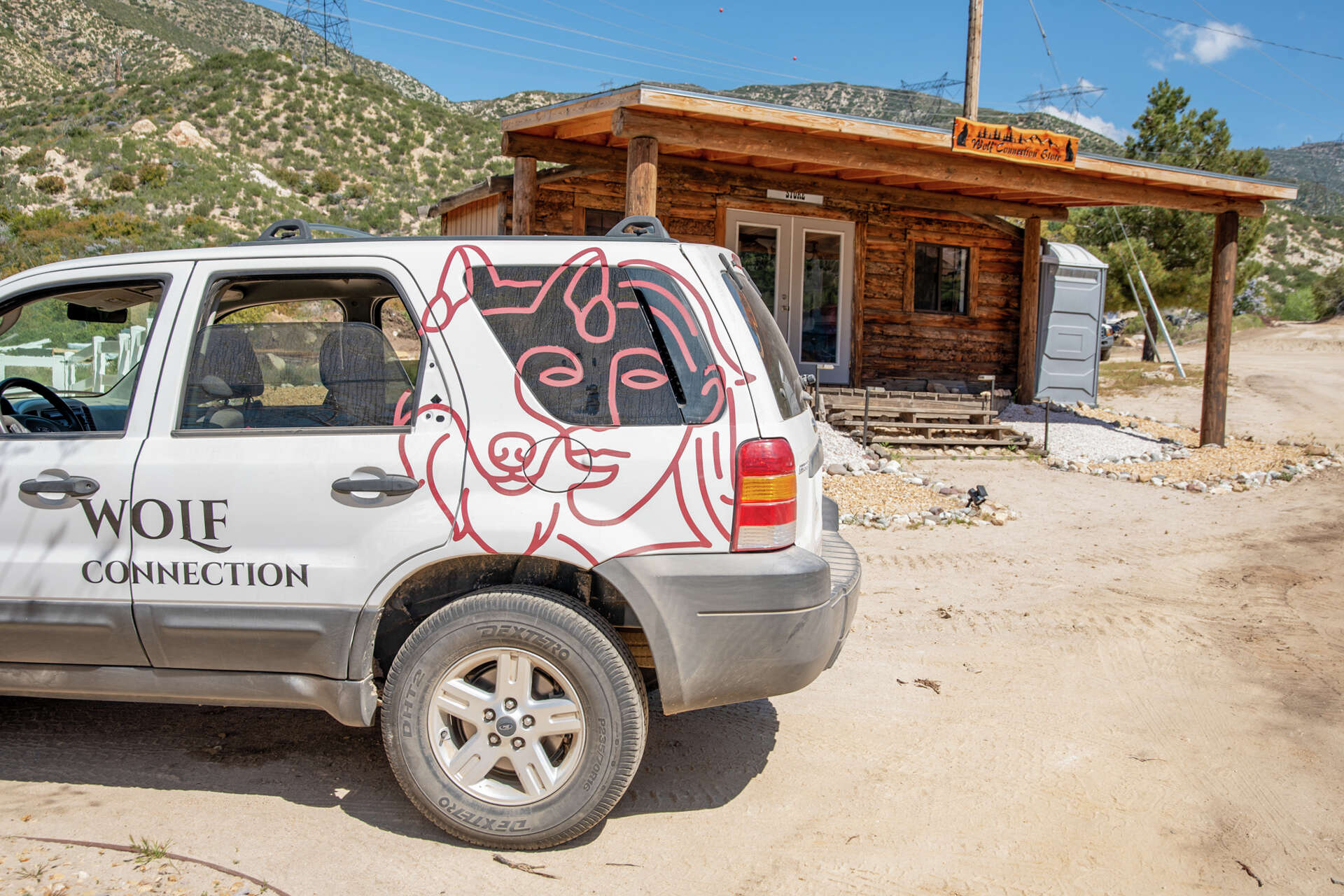 Wolf hybrids are illegal everywhere in Calif. except here