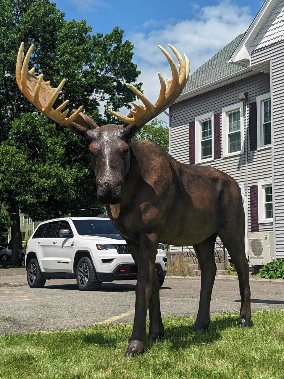 Gourmet food service partners to open Moose's Burgers in Meriden