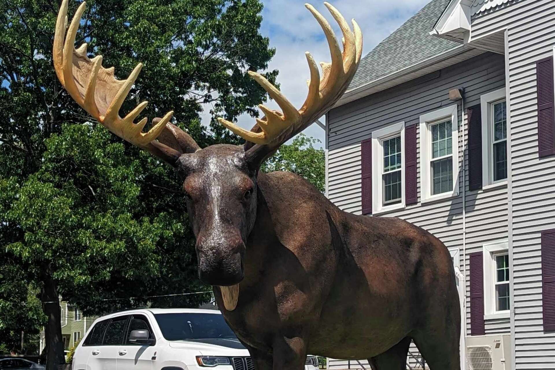 Gourmet food service partners to open Moose's Burgers in Meriden