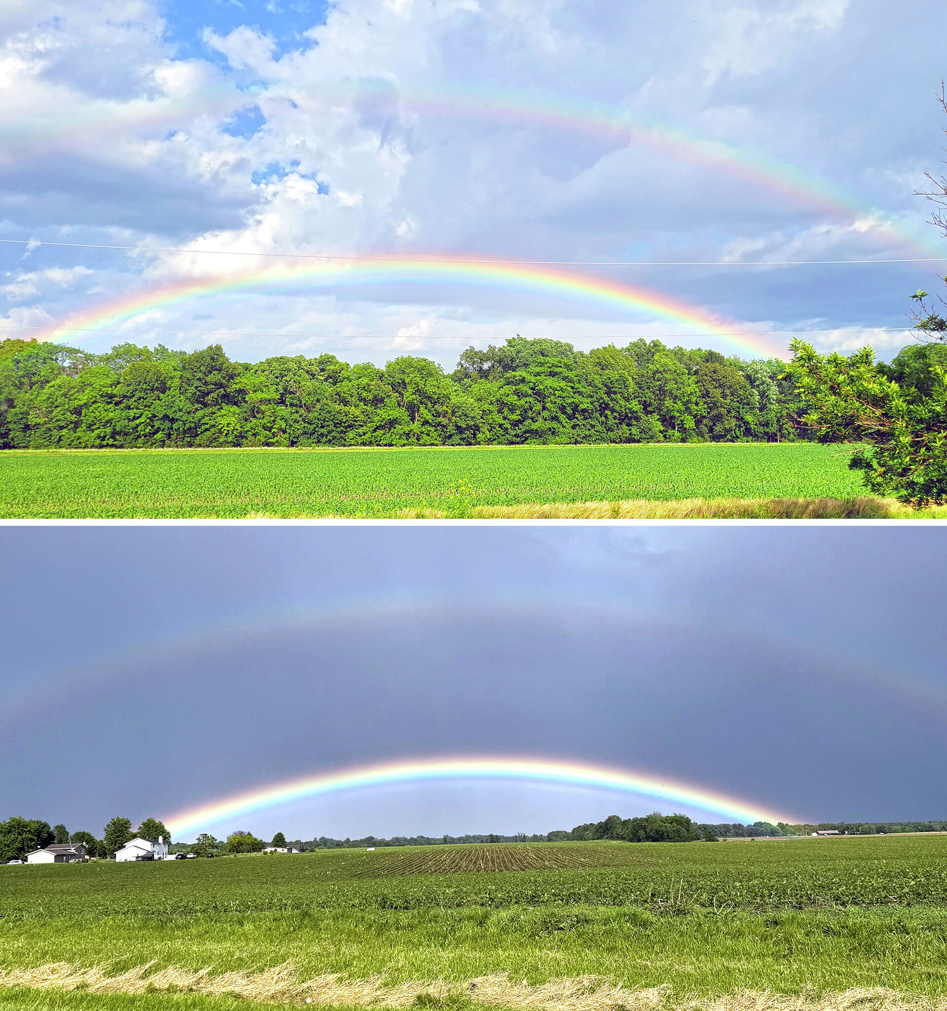 Reader photo: Seeing double double